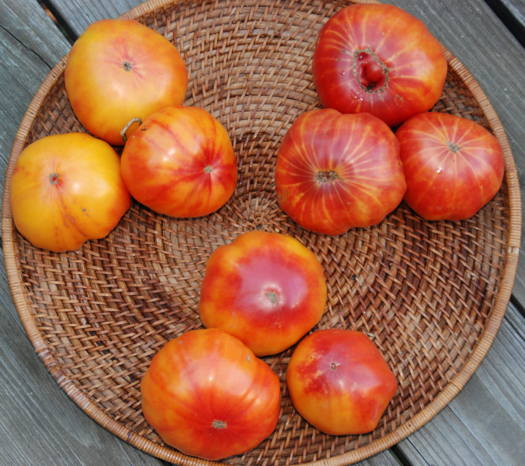 Giants of the Tomato World - The Sandwich/ Slicing Tomatoes ...